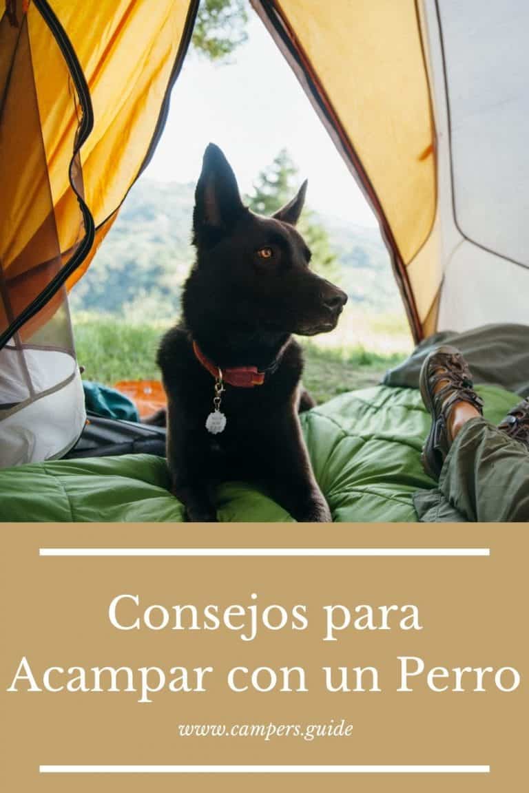 Guía y Consejos para Acampar con Perros: Camping con Mascotas Guía y Consejos para Acampar con Perros: Camping con Mascotas